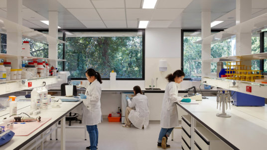 Laboratory and Technical Work – selected projects - m3architecture